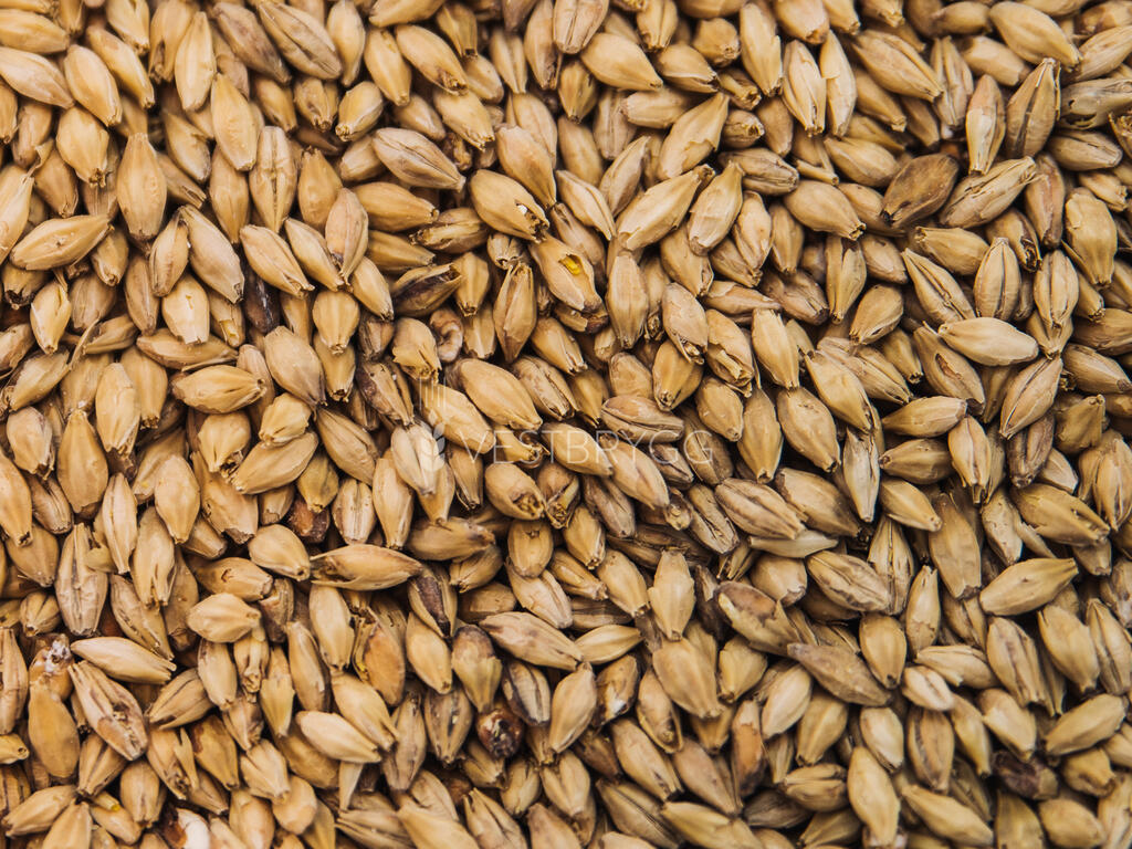 Jærmalt Vienna Malt - 100gr Knust 8-10 EBC – Jærmalt - Vestbrygg AS