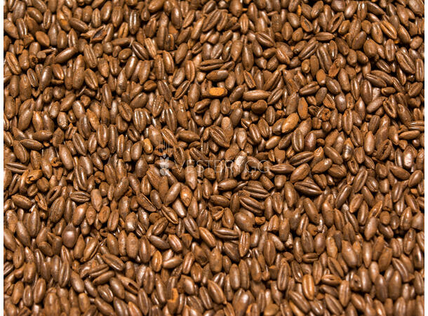 Roasted Rye Malt - 1 kg Hel 650 EBC – Weyermann - Vestbrygg AS